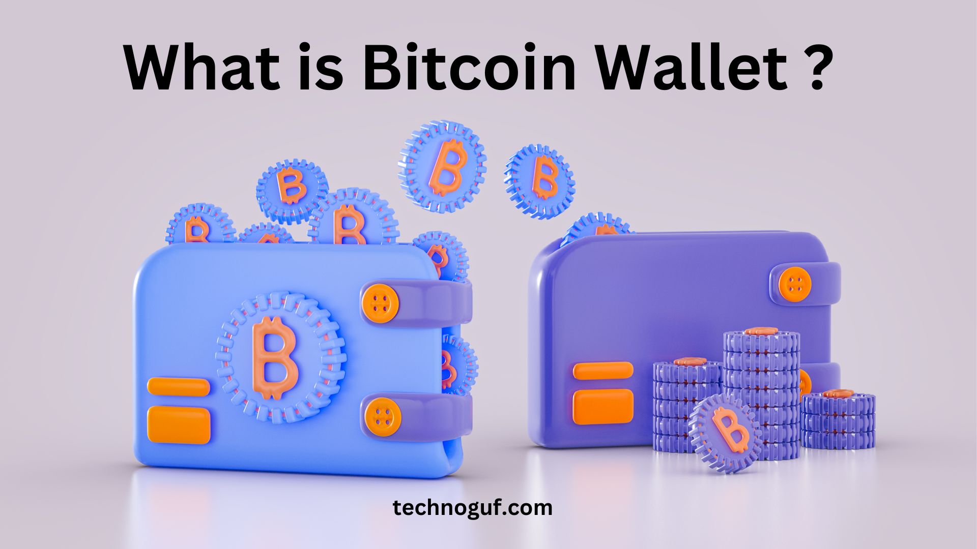 What is Bitcoin Wallet : A Comprehensive Guide to Storing BTC | TechnoGuf